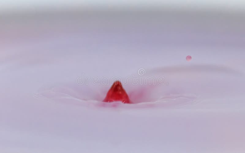 Red Color Water Drop and Splash Stock Photo - Image of natural, water ...