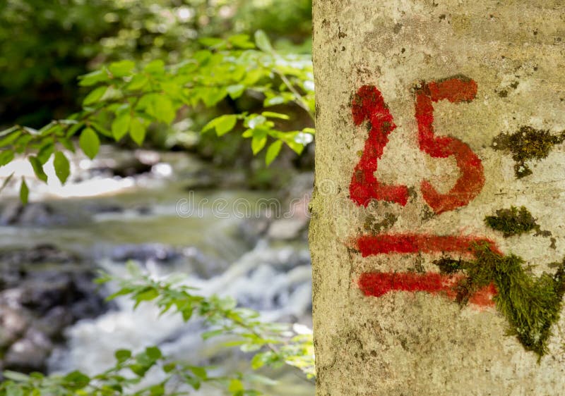 Red Color Mark on the Tree Bark and Soft Focus View through the ...