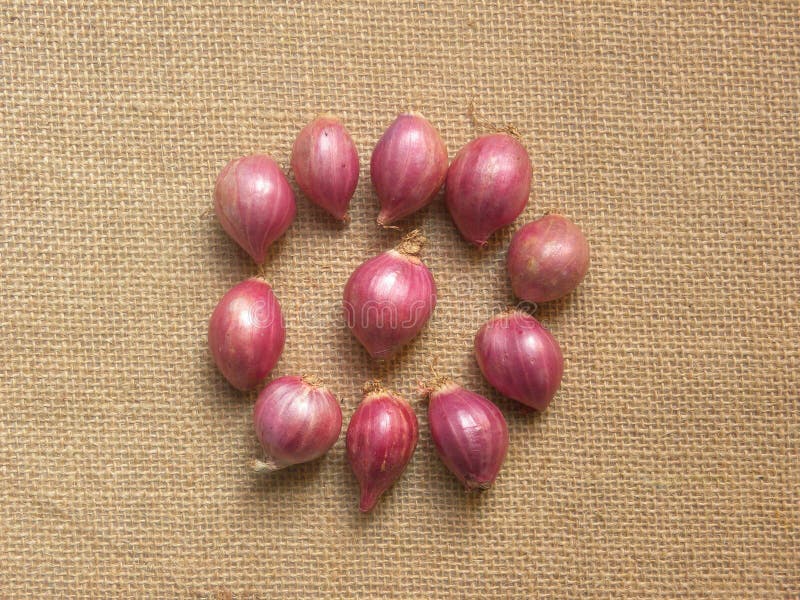 Red color Shallots stock photo. Image of natural, cook - 190435178