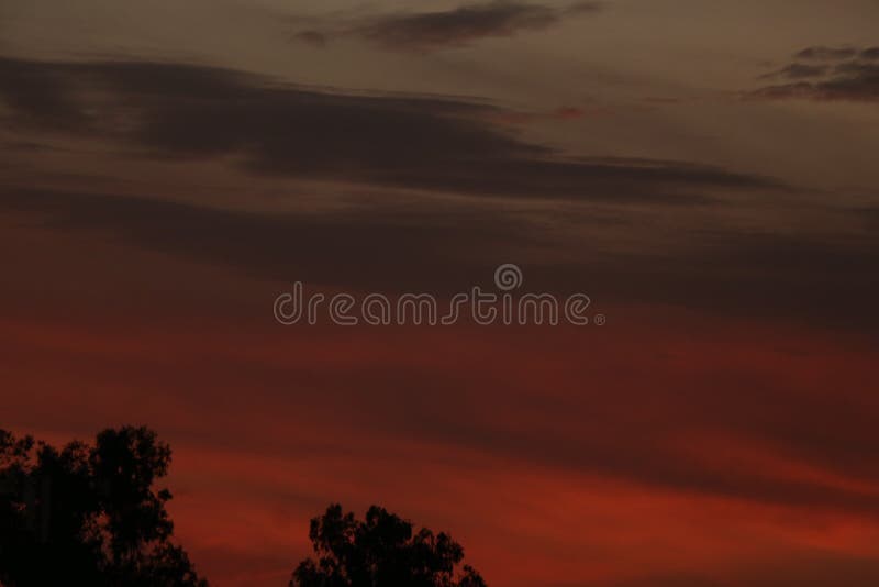 Red color sky and trees stock photo. Image of climate - 180341990