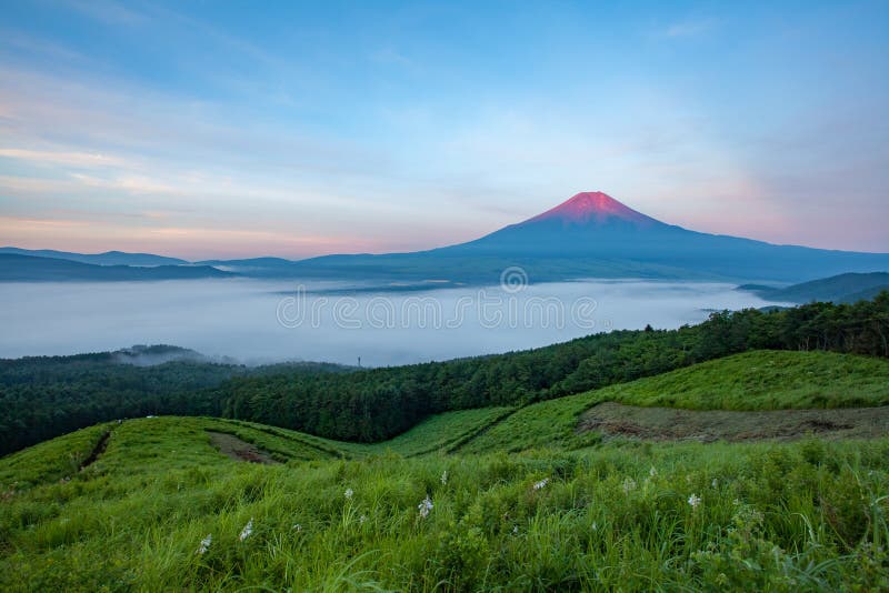 Red Color on Top of Mountain Fuji in Summer Stock Image - Image of ...