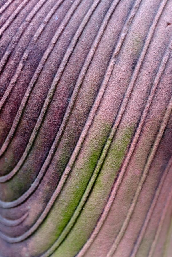 Red Color Wave Pattern Stone Carving Background View Stock Photo ...