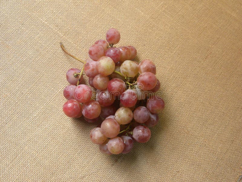 Red Globe grapes bunch stock photo. Image of isolated - 188316162