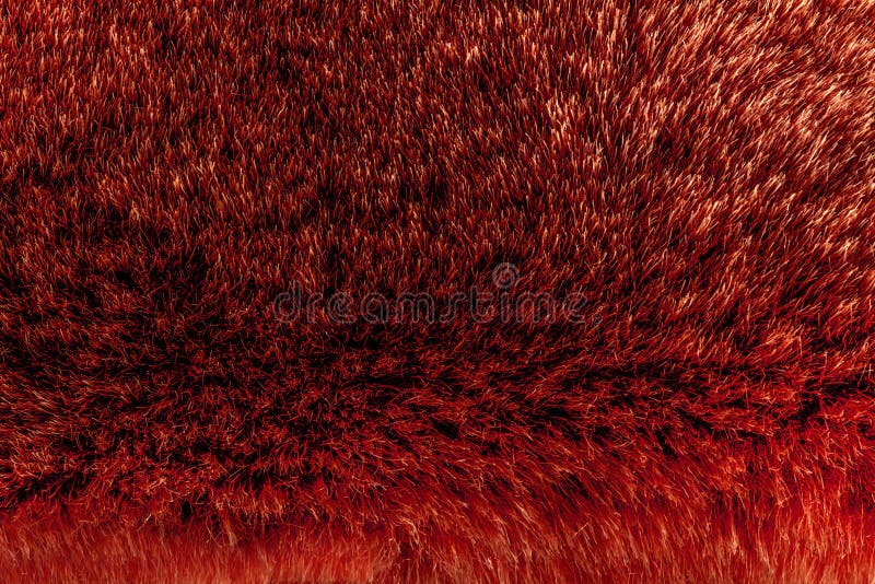 Red Colored Animal Fur Texture Backdrop Photo Stock Image - Image of ...