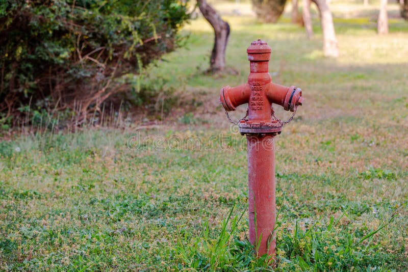 Red Colored Fire Hydrant on a Green Field Stock Image - Image of hose ...