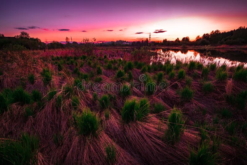 Blooming with sunrise stock photo. Image of empty, water - 105072632