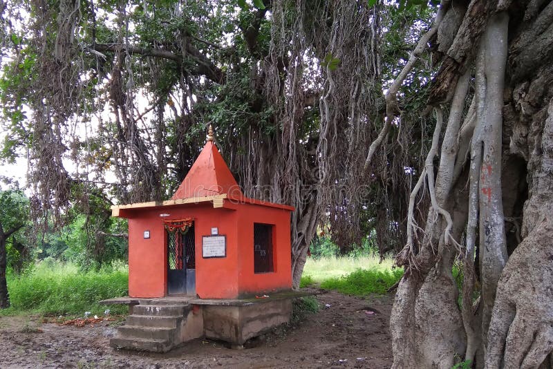 Red Colored Temple Built Under Banyan Tree , Indian Goddess Temple ...