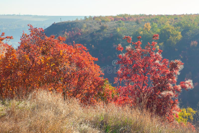 Red Colored Trees in the Fall Stock Photo - Image of majestic, hill ...