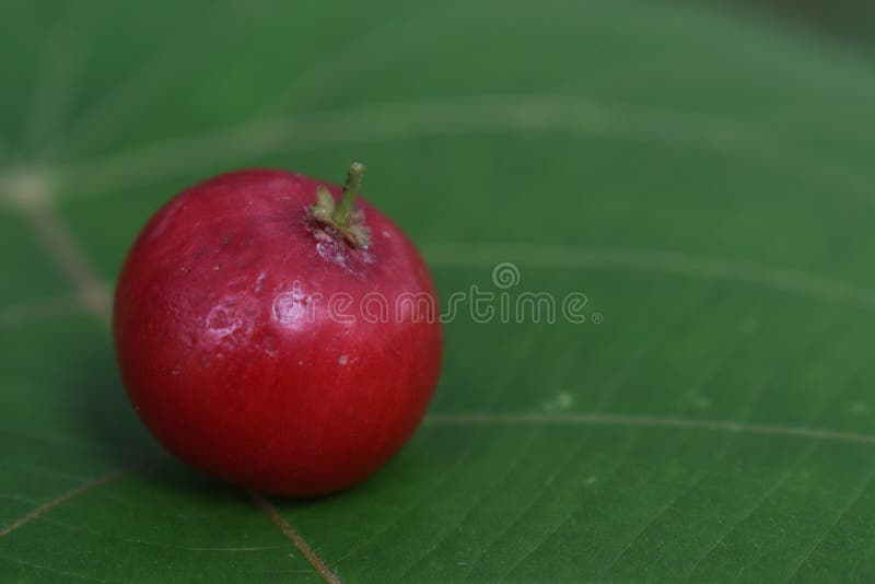 Roobikka Stock Photos - Free & Royalty-Free Stock Photos from Dreamstime