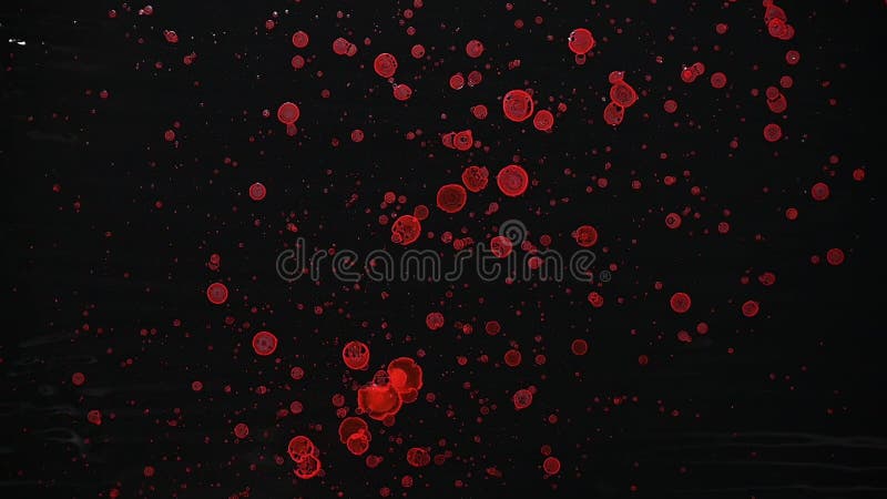 Red colour splashes stock footage. Video of brush, splat - 351088078