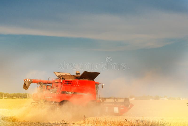 Red Combine Harvester is Working during Harvest Time in the Farmerâ€™s ...