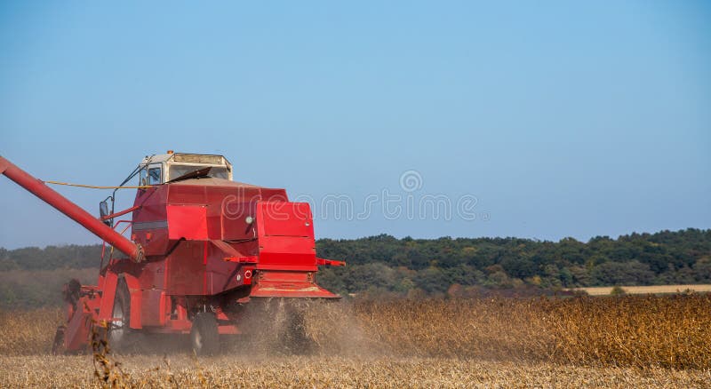 Red Combine Harvesting a Crop of Soybeans Stock Photo - Image of ...