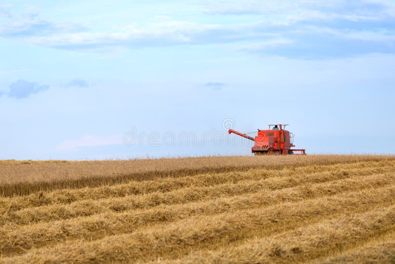 Red combine harvesting stock photo. Image of combine - 98664896