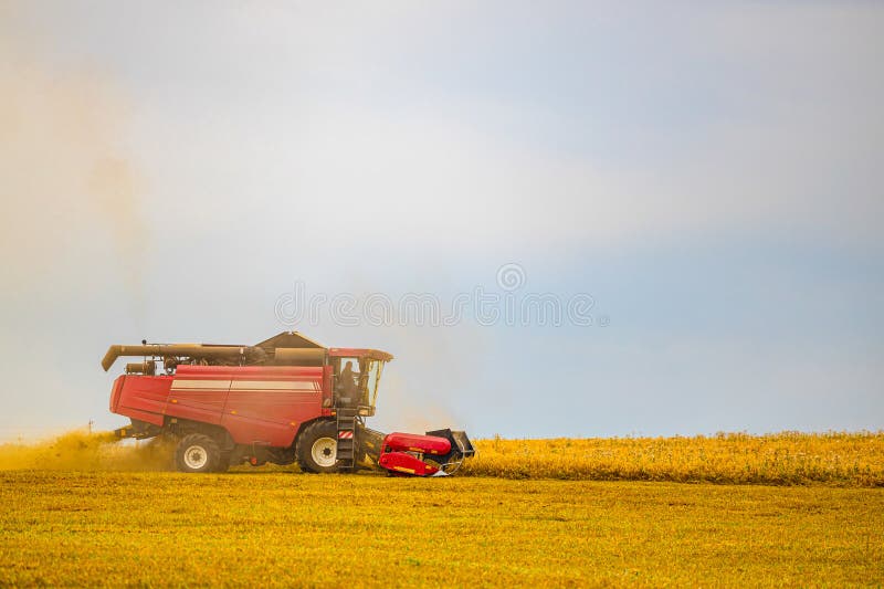 Red Combine Works in a Field in Summer Stock Photo - Image of farmer ...