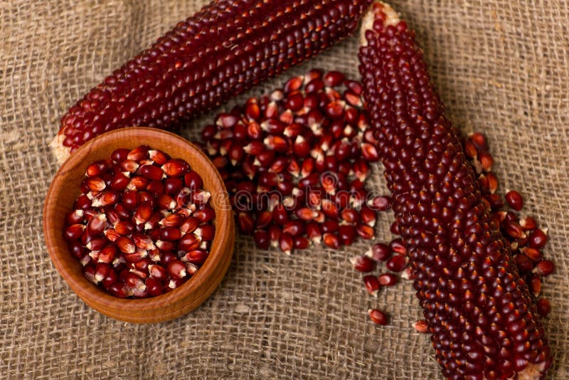 Red corn stock photo. Image of ingredient, healthy, plant - 58979114