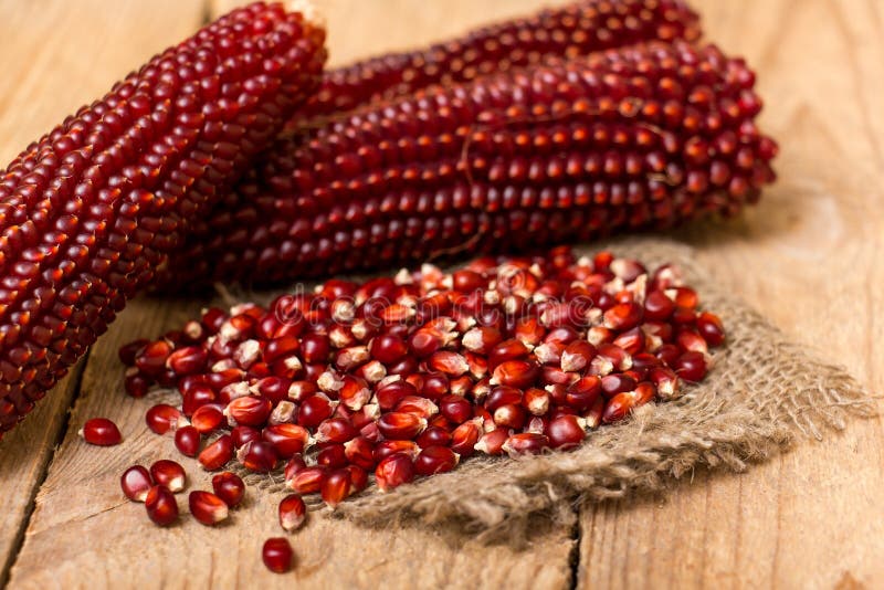 Red corn stock photo. Image of eating, cereal, nutrition - 58980004