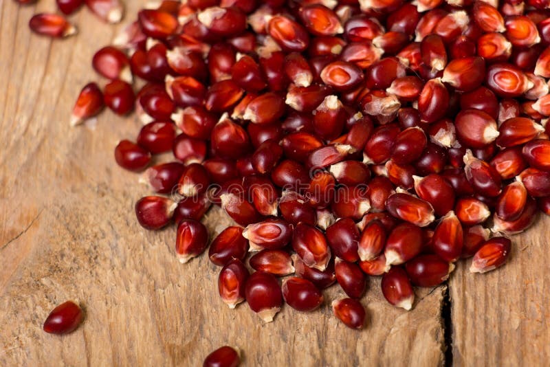 Red corn stock image. Image of corn, farm, healthy, plant - 58978779