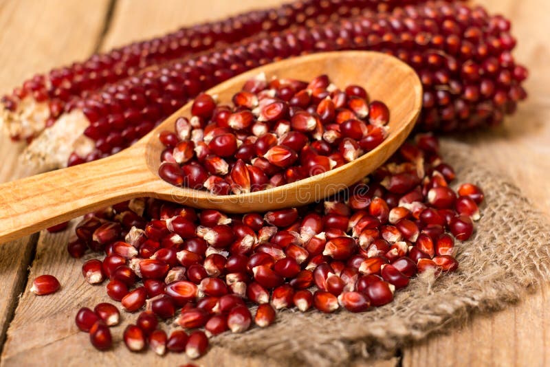 Red corn stock image. Image of grain, horizontal, food - 58979579