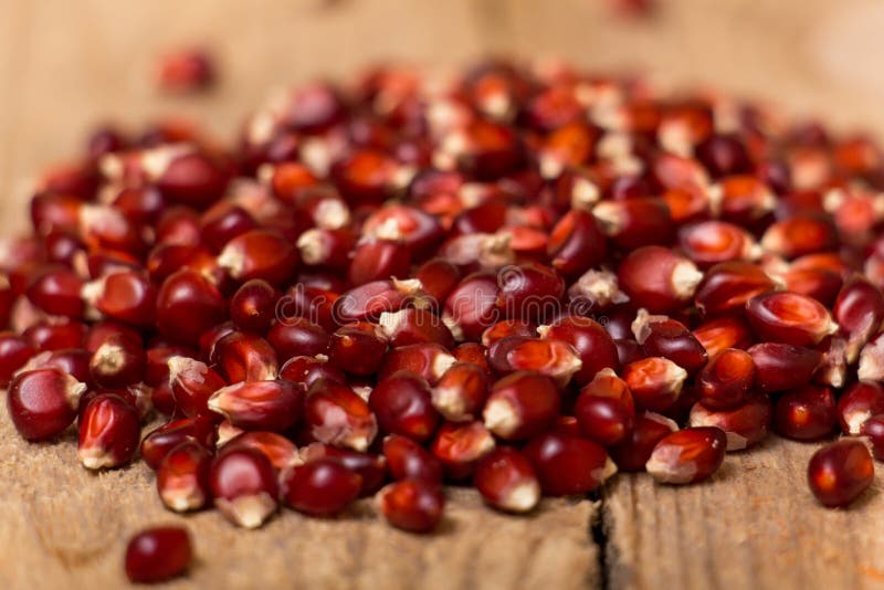 Sweet red corn stock image. Image of cooking, agriculture - 51246837