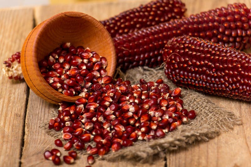 Red corn stock photo. Image of closeup, grain, autumn - 58979326