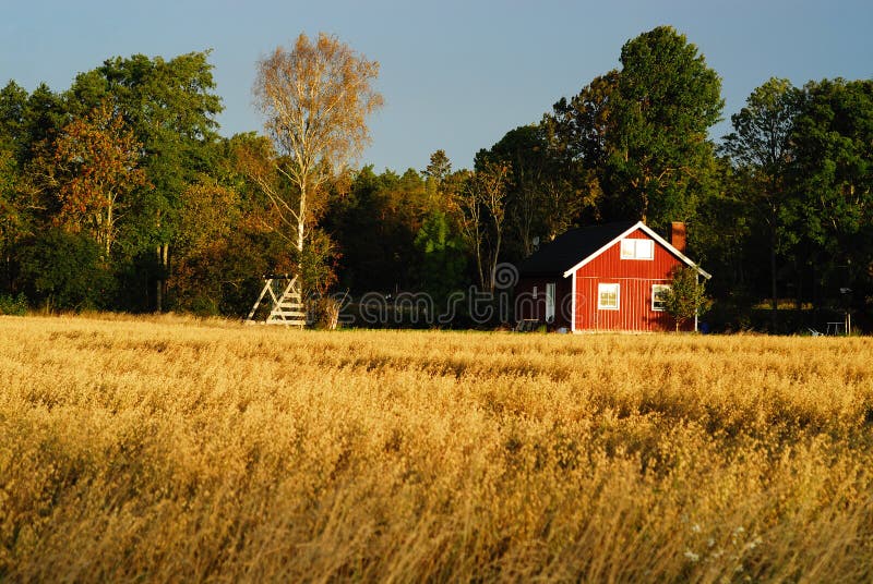 Red cottage stock photo. Image of architecture, agriculture - 30708082
