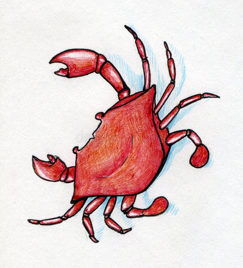 Red crab with blue shadow stock illustration. Illustration of sketch ...