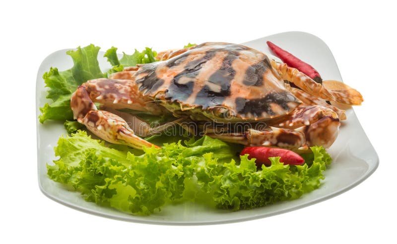 Red crab stock image. Image of meal, cooked, animal, cook - 45620869