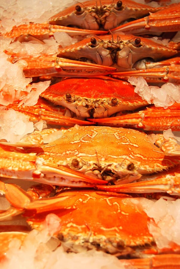 Red crabs stock photo. Image of kitchen, mediterranean - 6341542