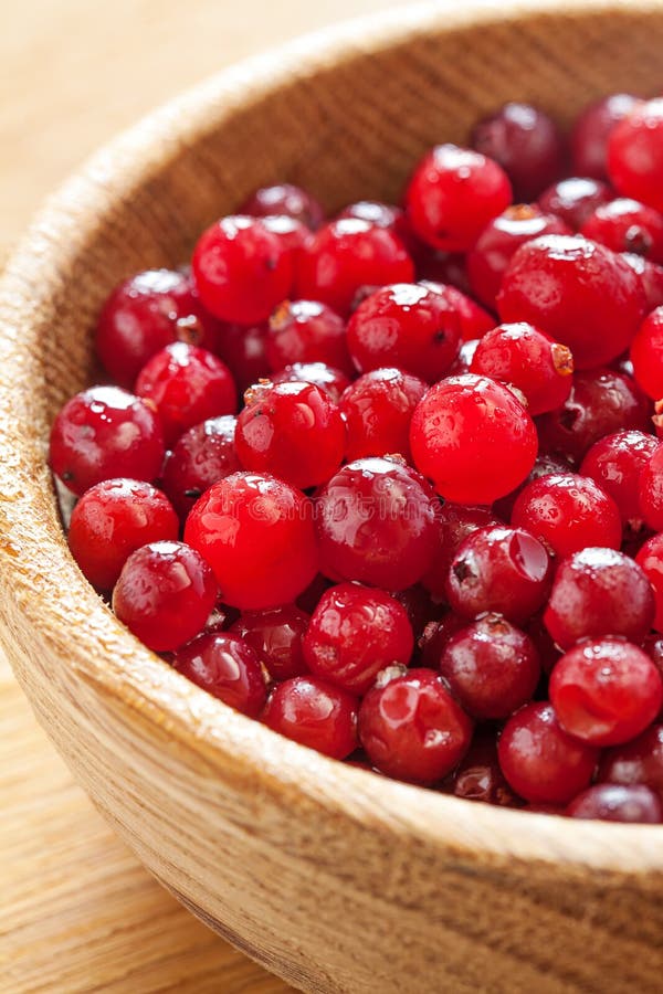 Red Cranberries in Wooden Dish Stock Image - Image of cranberries ...