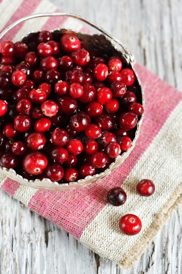 Cranberry Palette stock photo. Image of bright, guide - 28122218