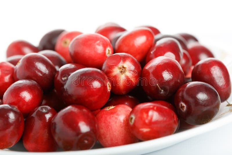 Red cranberry fruit stock photo. Image of organic, plant - 102183198