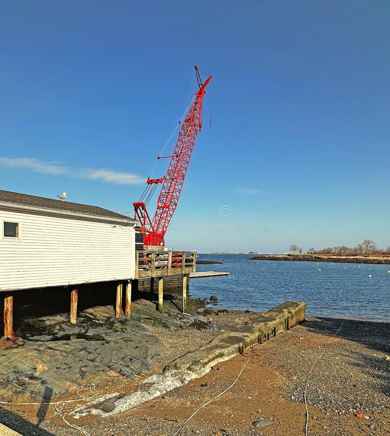 Red Crane at Little Harbor at Low Tide Stock Image - Image of curves ...