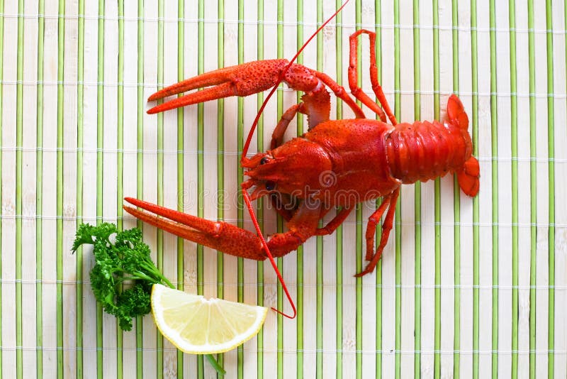 Red crayfish stock image. Image of food, lunch, seafood - 7055053