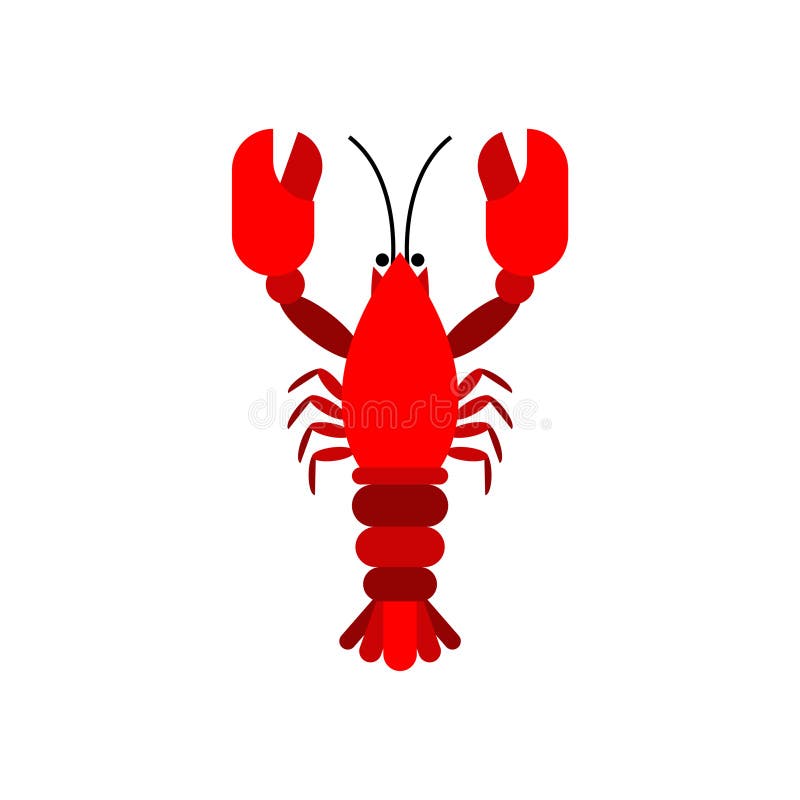 Crayfish Isolated on White Background. Hand Drawn Red Crawfish, Lobster ...