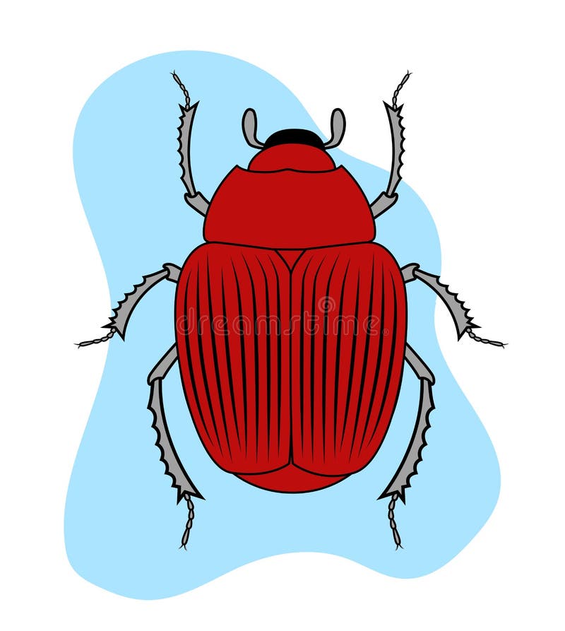Drawing Art of Beetle Insect Stock Vector - Illustration of isolated ...