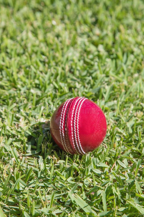 Red Cricket Ball on Green Grass Stock Photo - Image of detail, color ...
