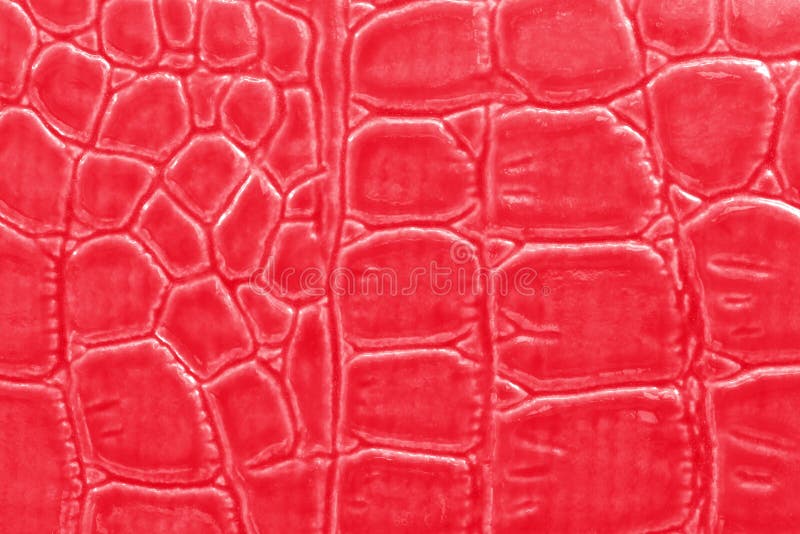 Big Crocodile in an Artificial Habitat Stock Image - Image of group ...