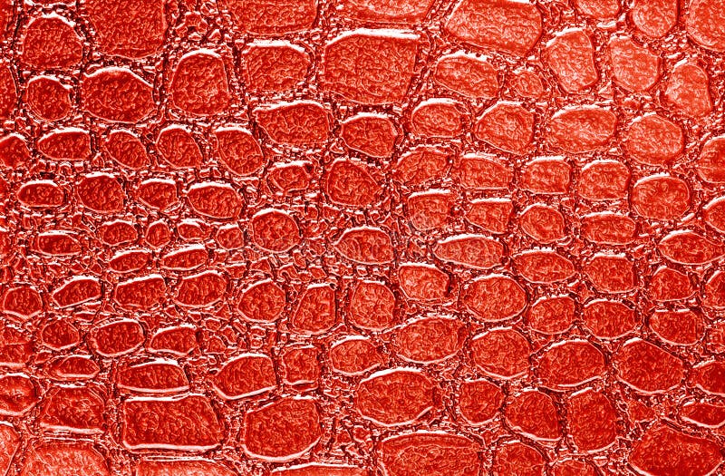 Red Crocodile Leather, As Background Stock Image - Image of hide ...