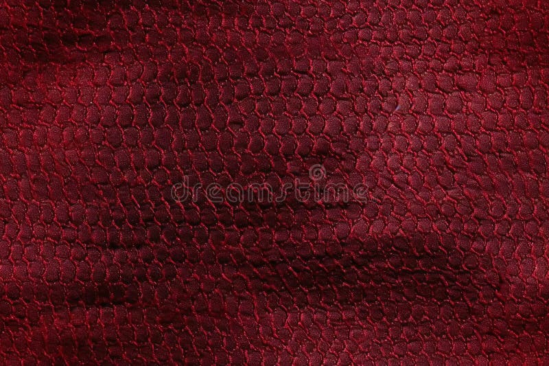 Crocodile Leather Texture, Animal Skin Background, Close Up Stock ...
