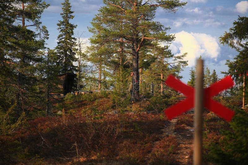 A Red Cross As Trail Marking in Forest in Northern Sweden Stock Photo ...