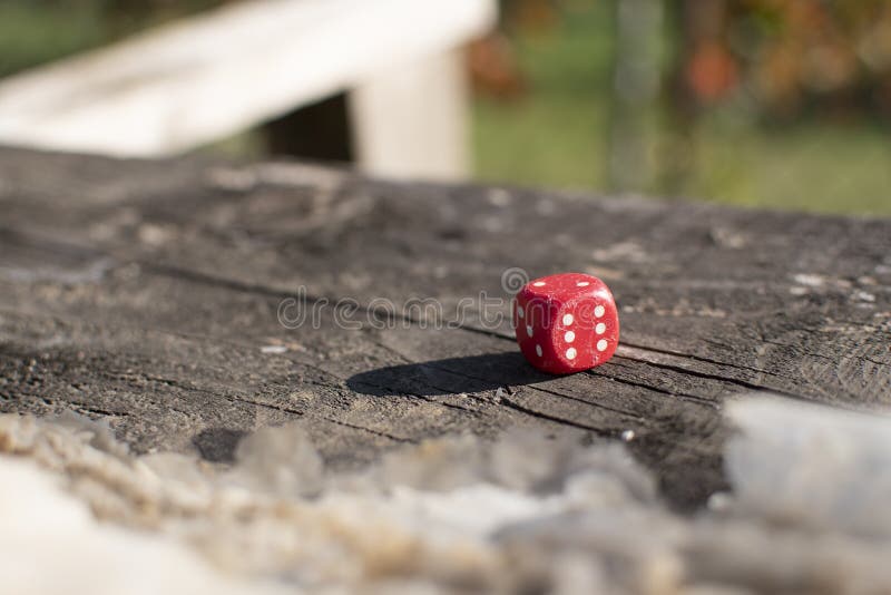 Red Cube Isolated in Nature Stock Image - Image of small, alone: 204040355