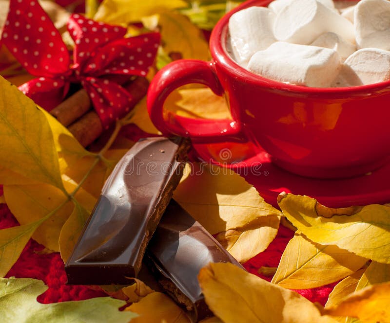 A Red Cup of Cocoa with Marshmallows, Several Peaces of a Chocolate Bar ...