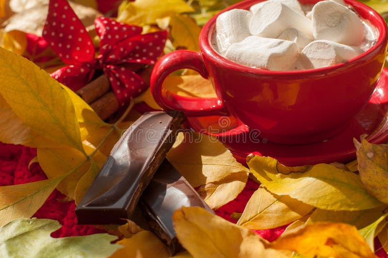 A Red Cup of Cocoa with Marshmallows, Several Peaces of a Chocolate Bar ...