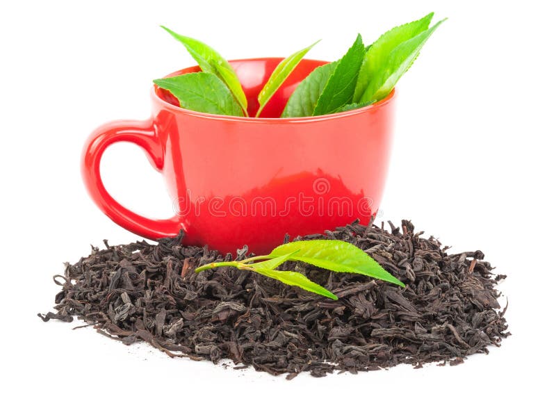 Red Cup of tea with leaves stock photo. Image of taste - 81812406