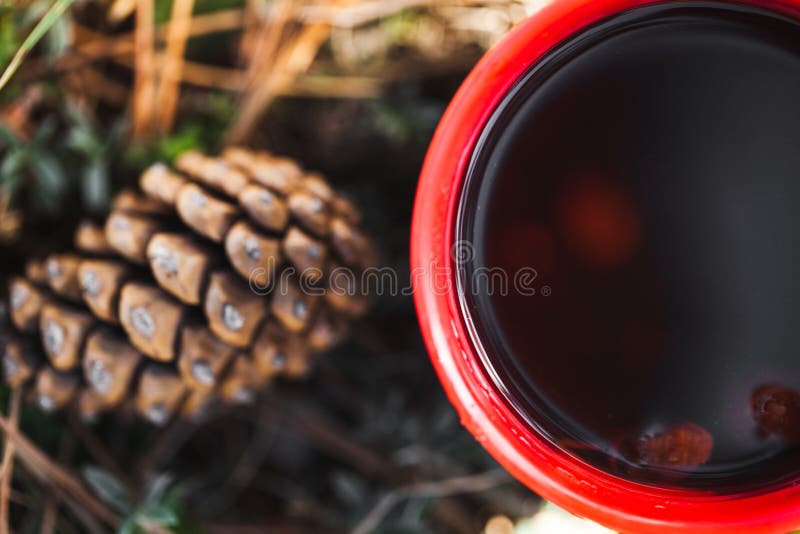 Red Cup and Teas in the Autumn Forest with a Cone Stock Photo - Image ...