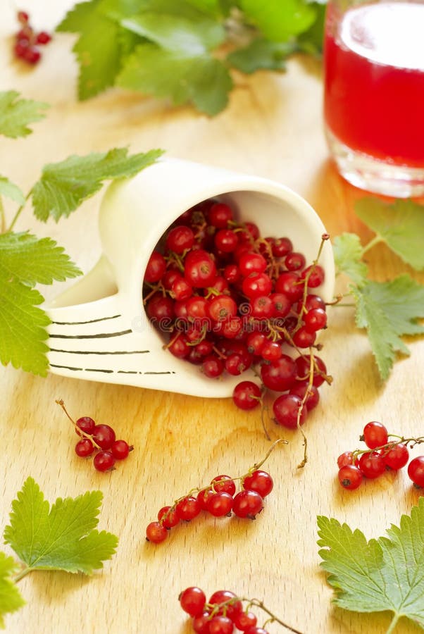 Red currant stock photo. Image of fresh, fragrantly, organic - 15017658