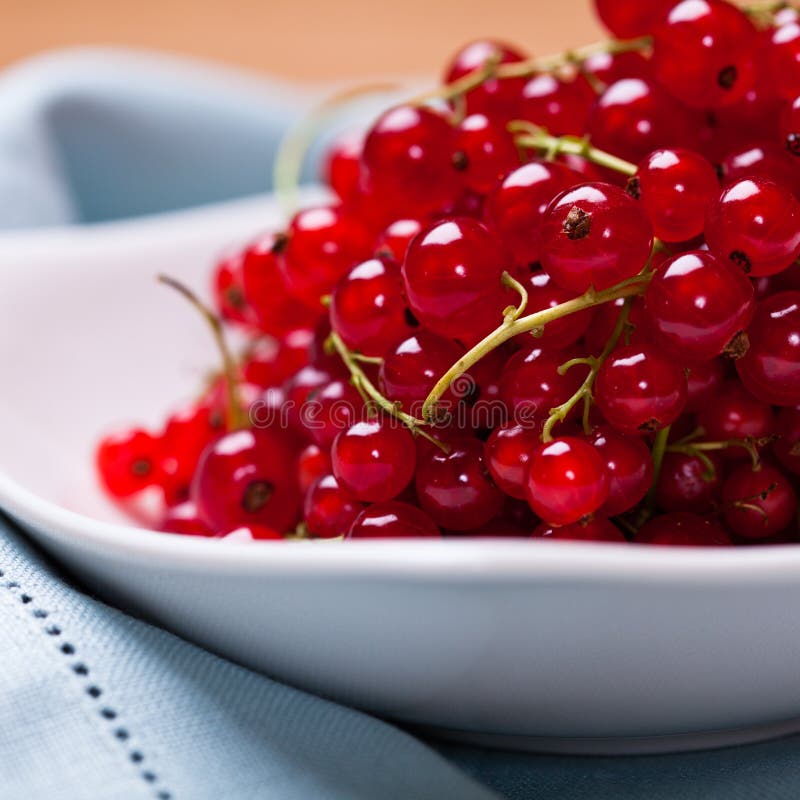 Red Currant stock image. Image of vitamins, macro, ingredient - 21423525