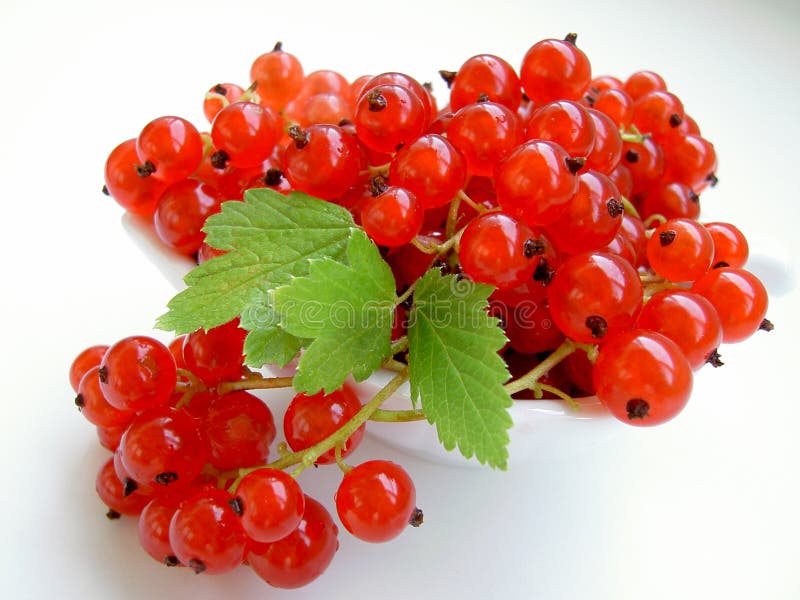 Red currant stock image. Image of kitchen, aroma, crimson - 4188303