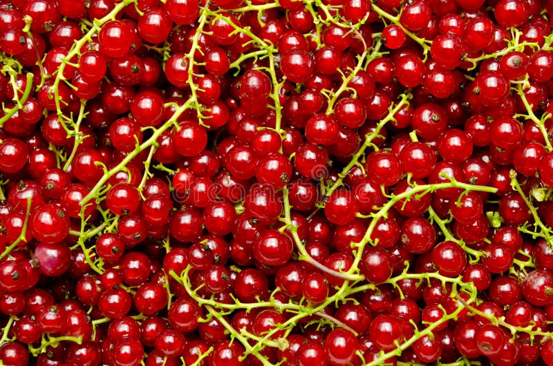 Vitalkaka - Photographer profile