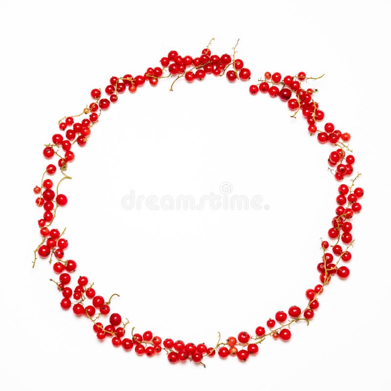 Red Currant Berries Frame on a White BackgroundRed Currant Berries ...